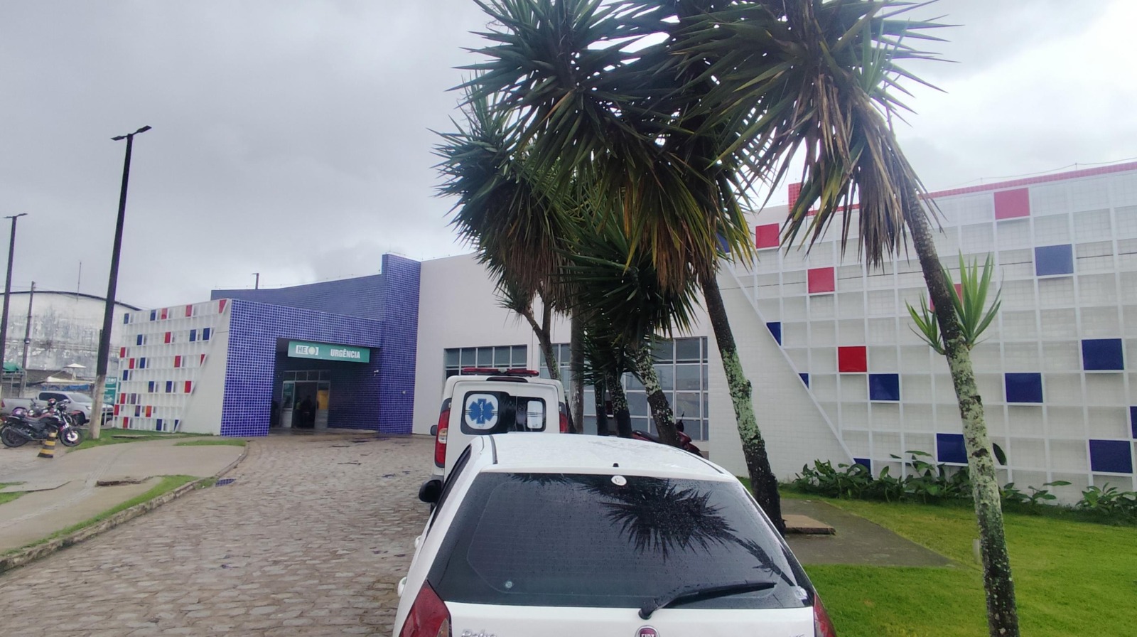 Corpus Christi: Hospital do Agreste registra 168 vítimas de acidente de ...