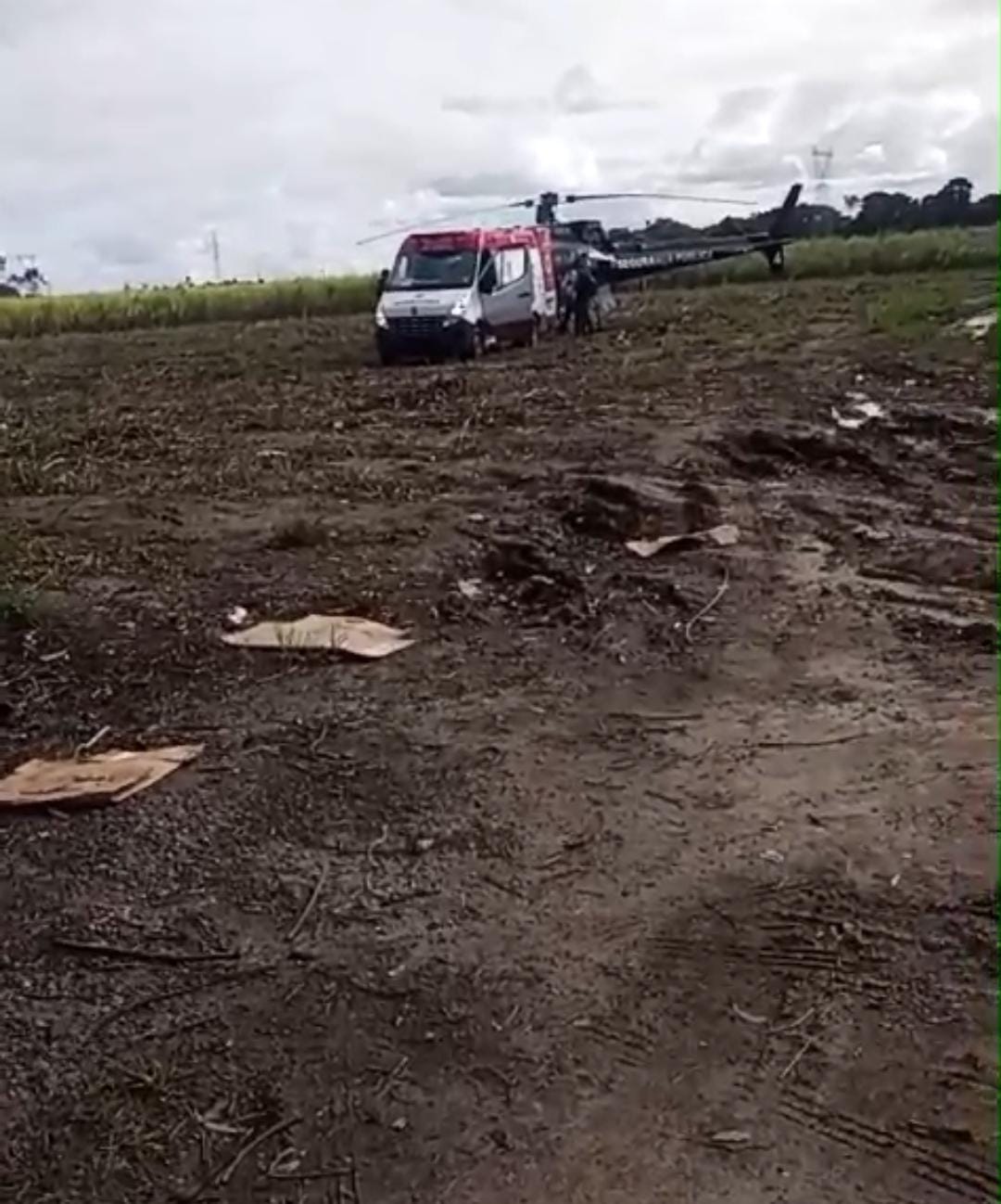 Vídeo: mulher fica presa às ferragens após bater carro em árvore
